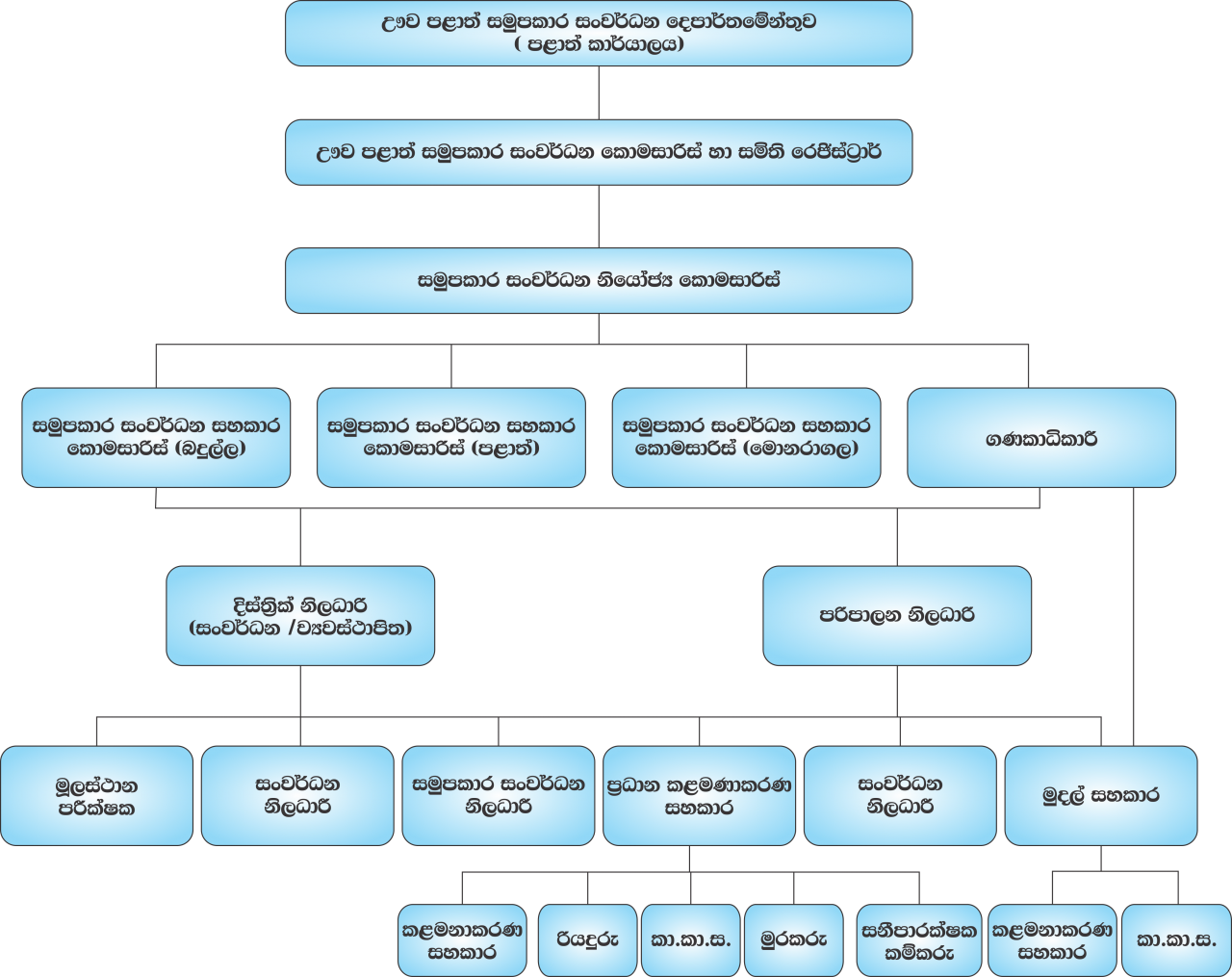 Organization Structure | Uva Provincial Department of Cooperative ...